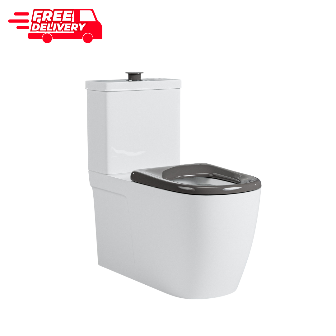 Disabled Back to Wall Rimless Toilet with Grey Seat and Grey Buttons